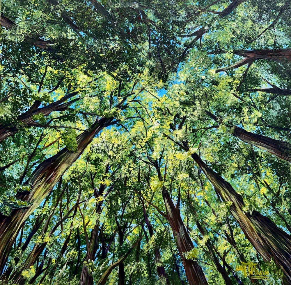 Looking Up Summer | helloart