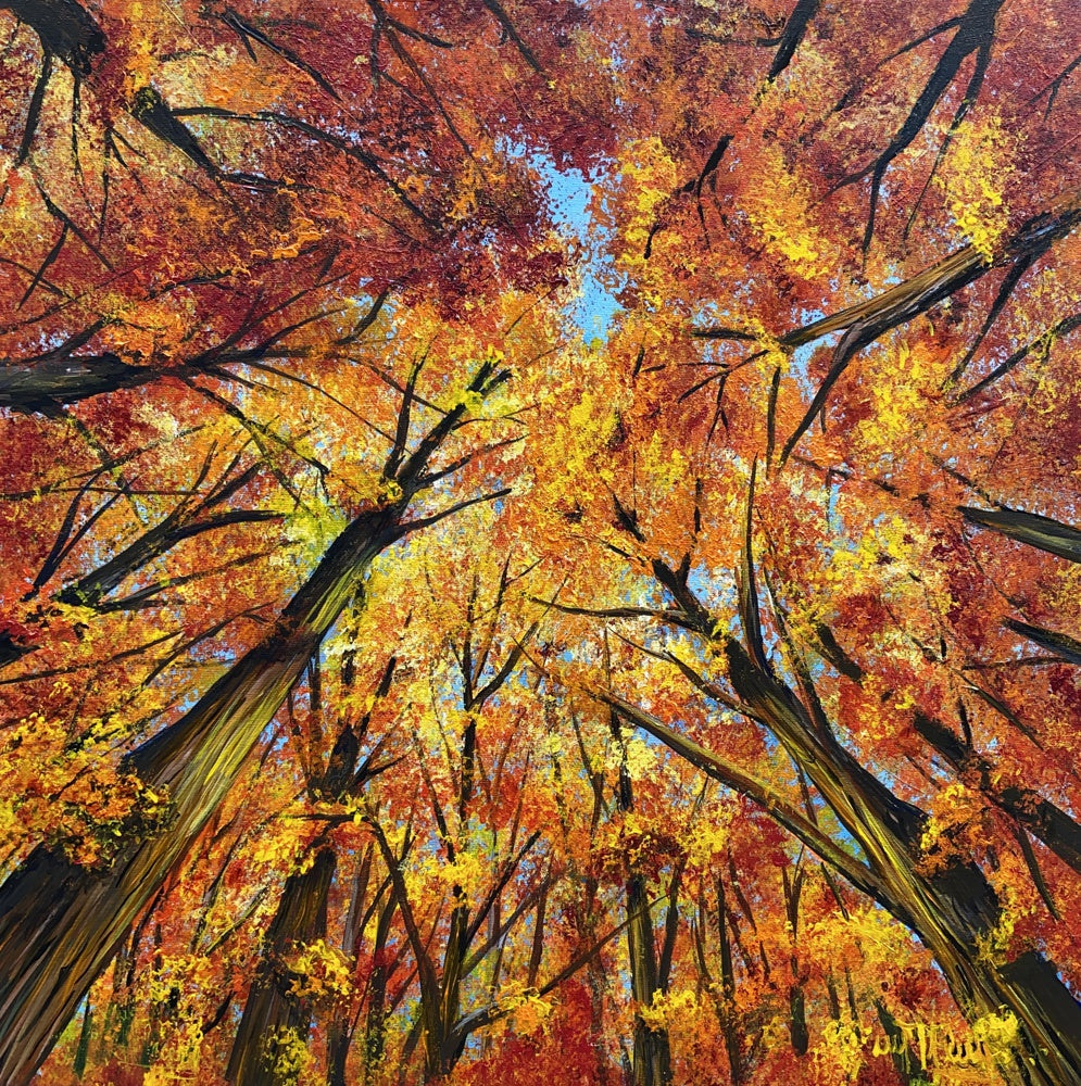 Looking Up Fall | helloart