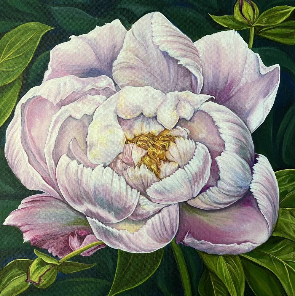 Portrait of a peony. | helloart