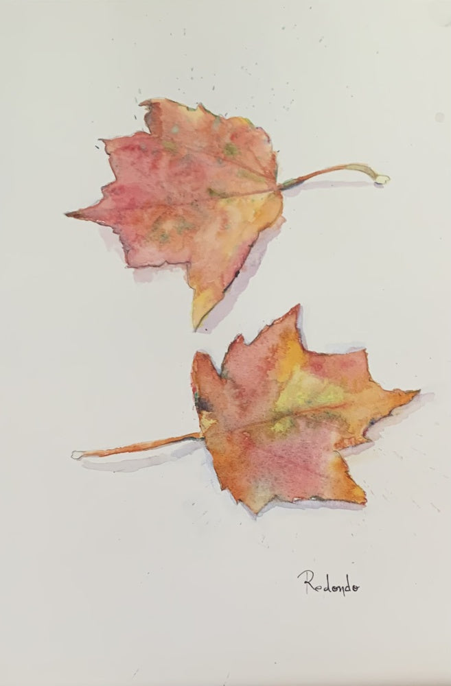 Dans le vent qui vol | helloart