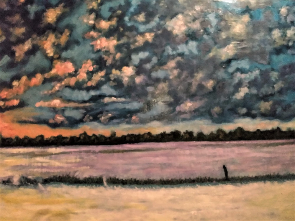 December Snow (Brampton) | helloart