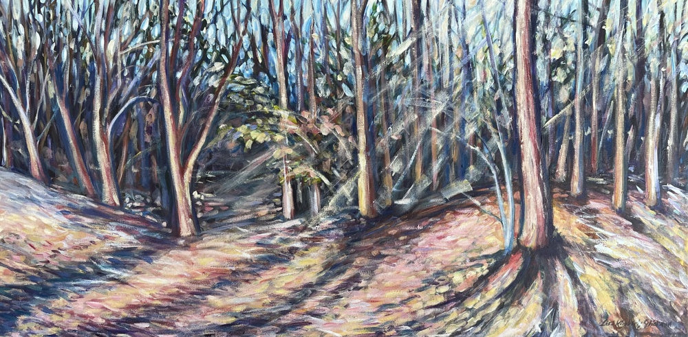 Sun Streams in the Forest | helloart