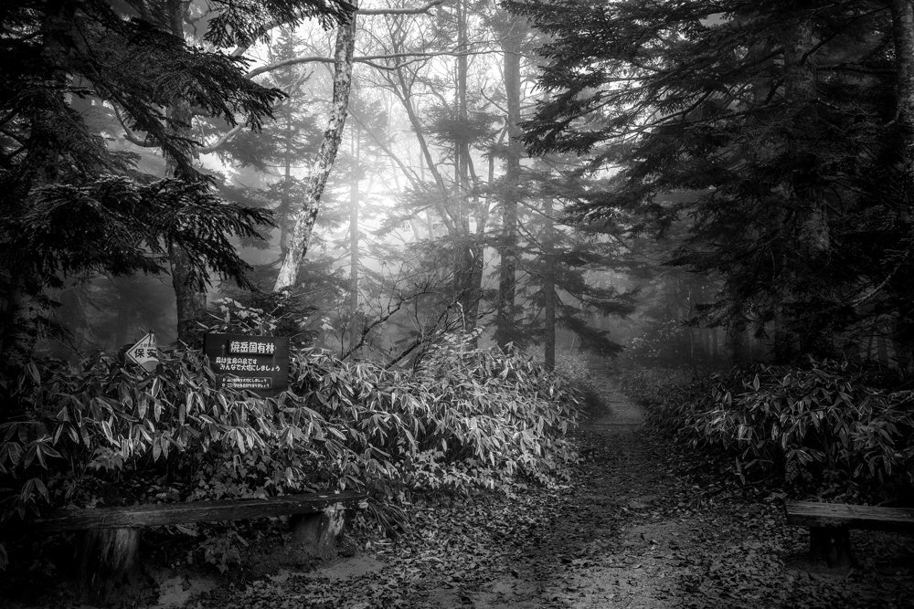 Lost in Tateyama | helloart