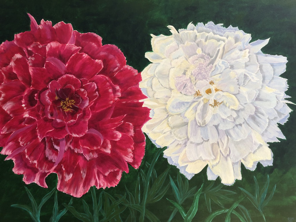 Peonies | helloart