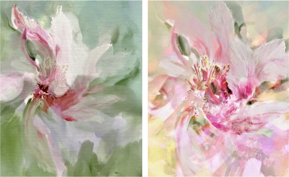 Scorpion Peony | helloart