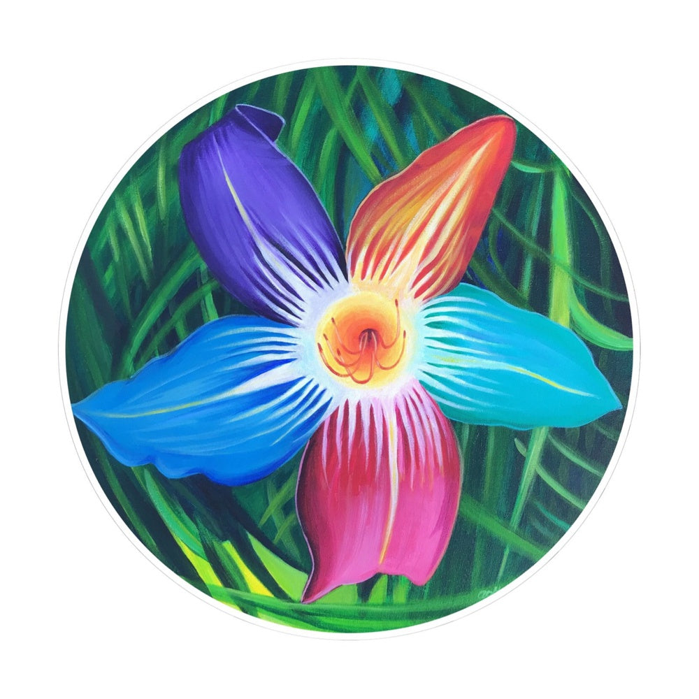 Rainbow Lily | helloart