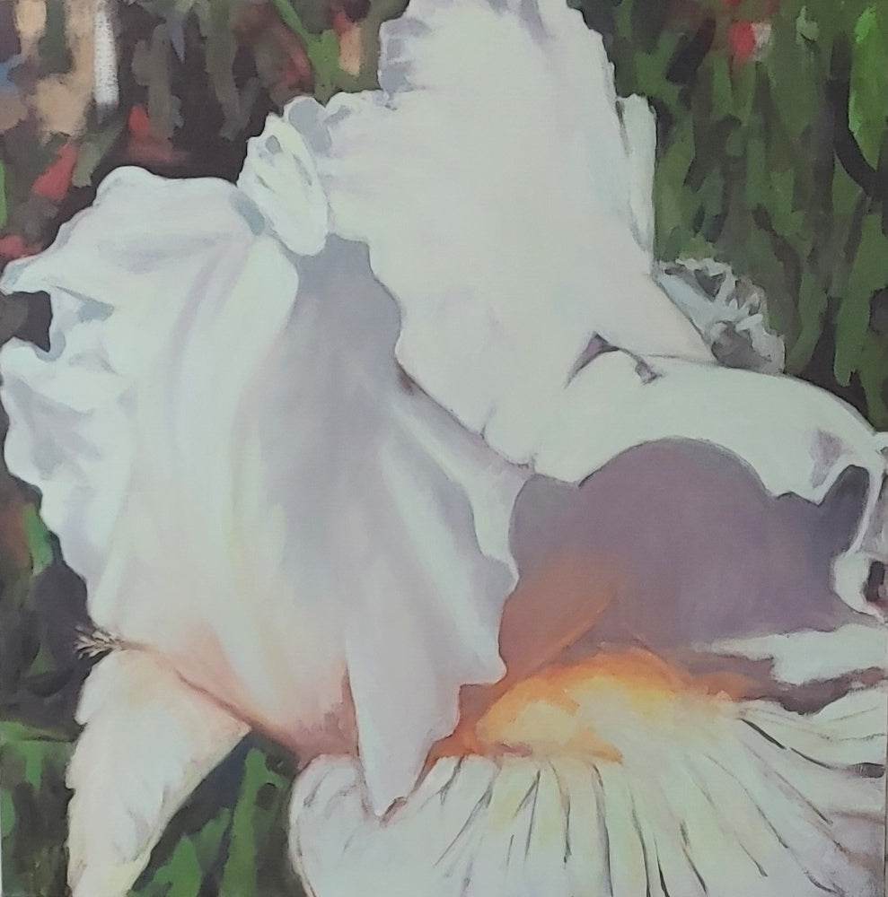 The White Iris | helloart