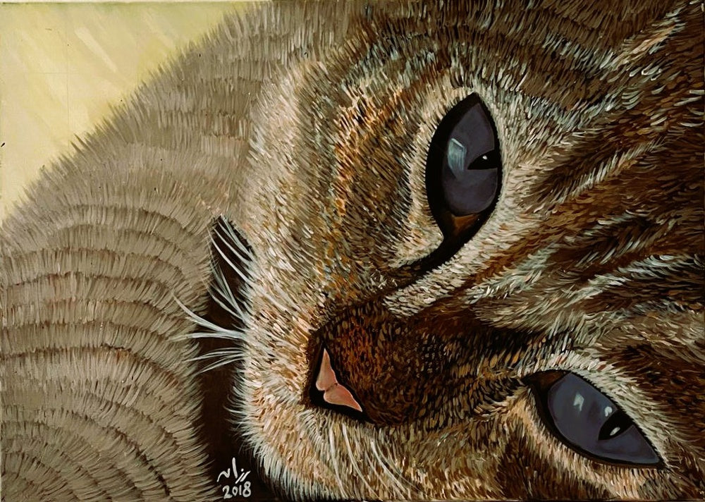 Sleepy Cat | helloart