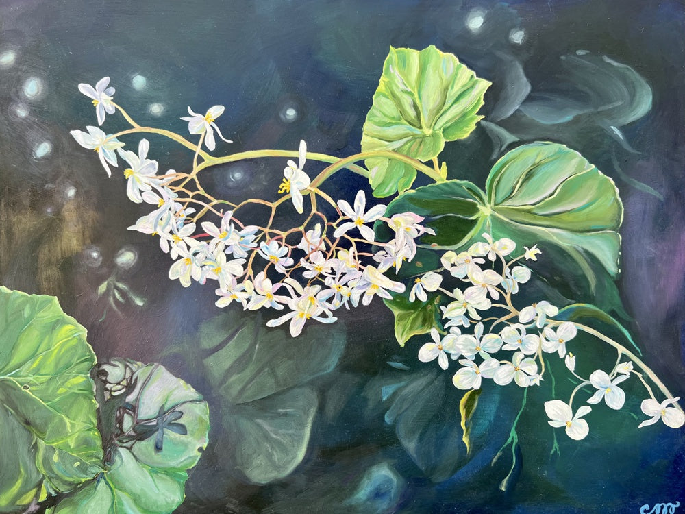 Constellation | helloart