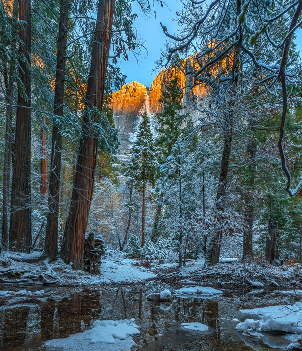 Snow Glow | helloart