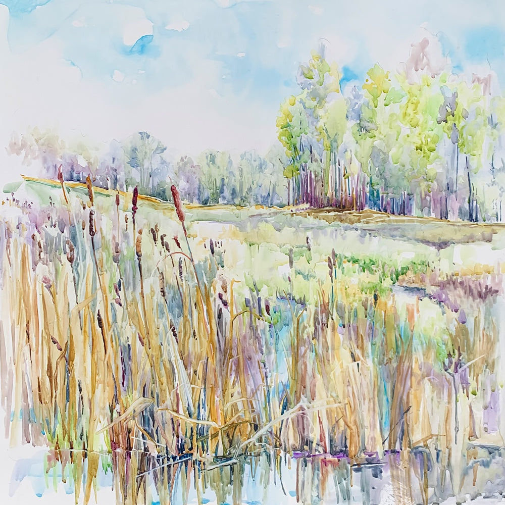 Song of the Frogs | helloart