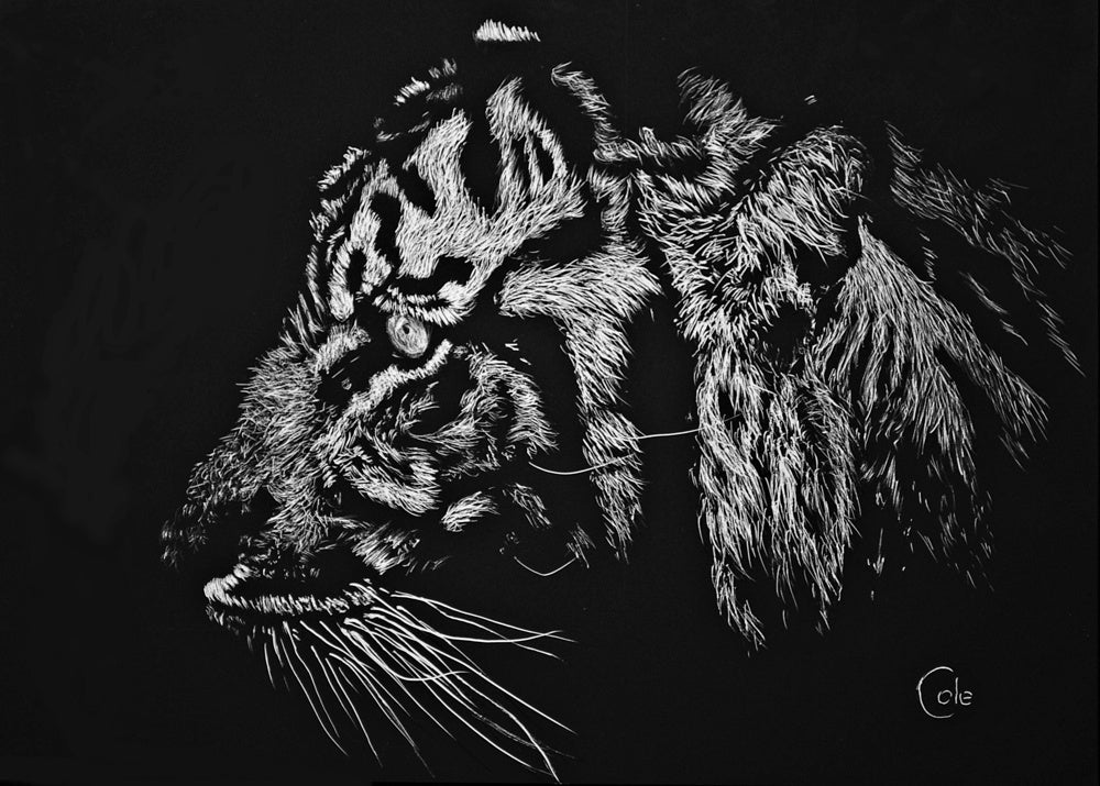 The Night Guardian | helloart