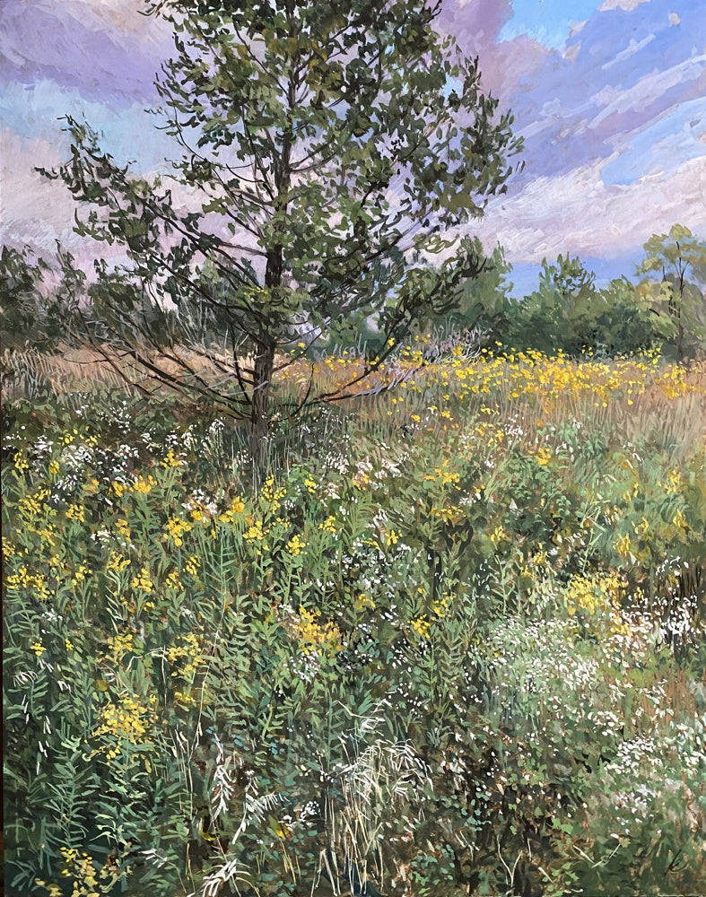 Jack Pine | helloart