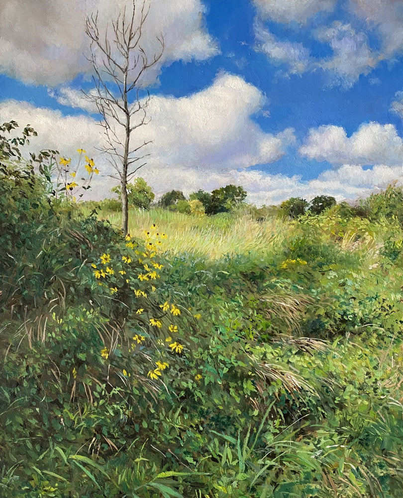 Late Summer, Fox River Vallery | helloart