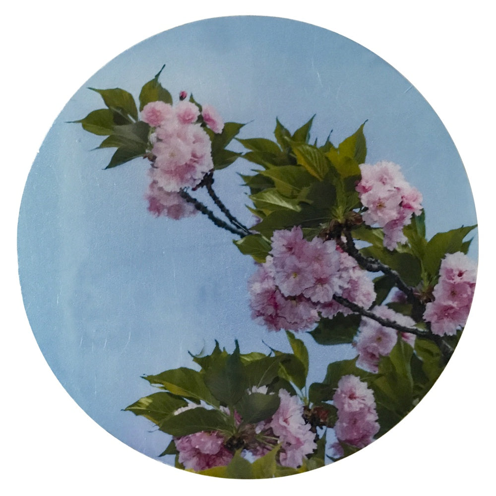 Freedom to Grow | helloart