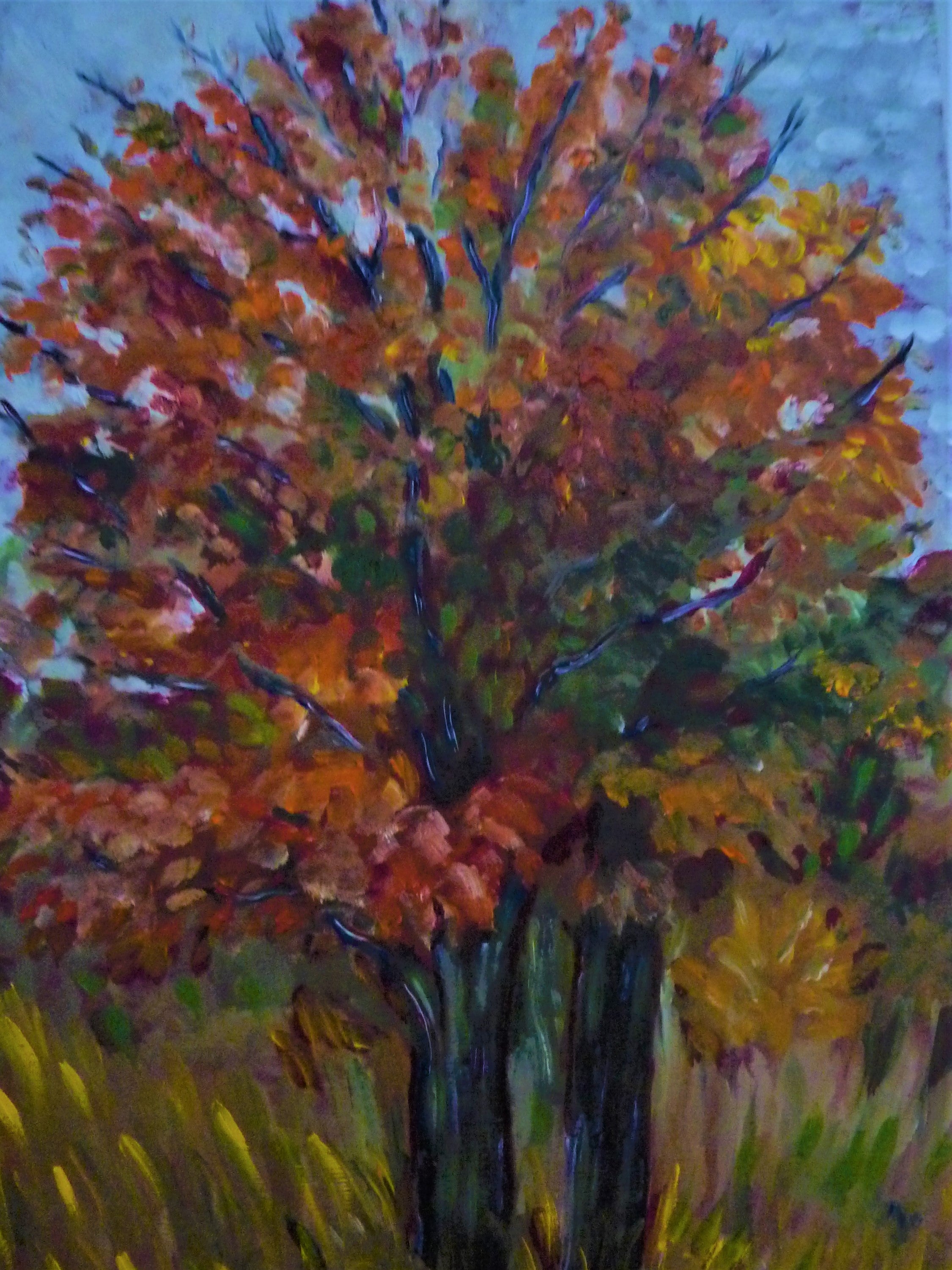 Maple tree, autumn | helloart