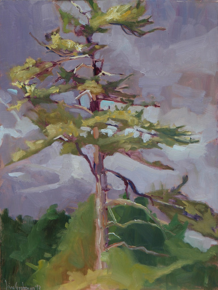 White Pine | helloart