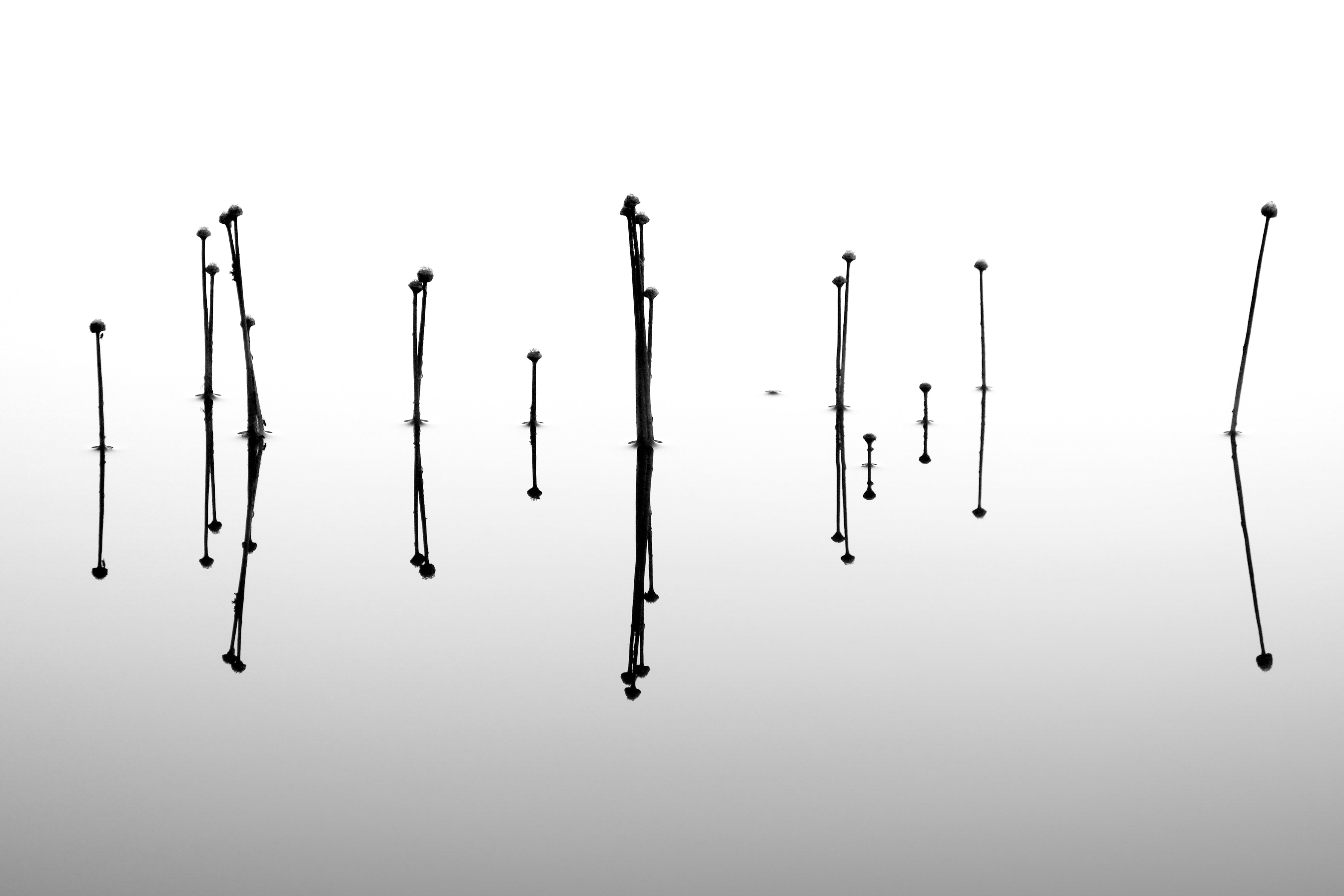 Parallel Worlds | helloart