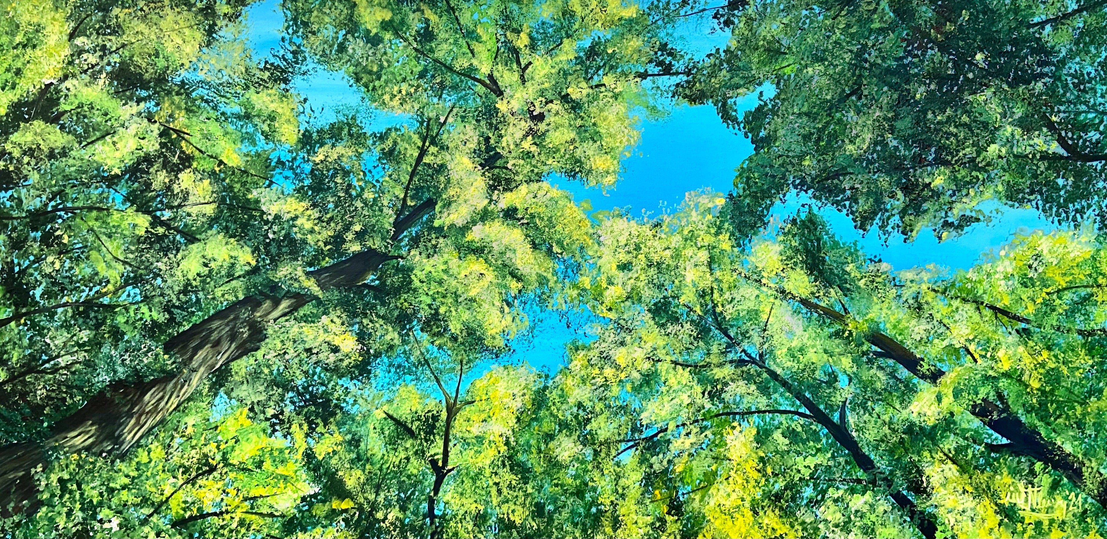 Looking-up Summer | helloart