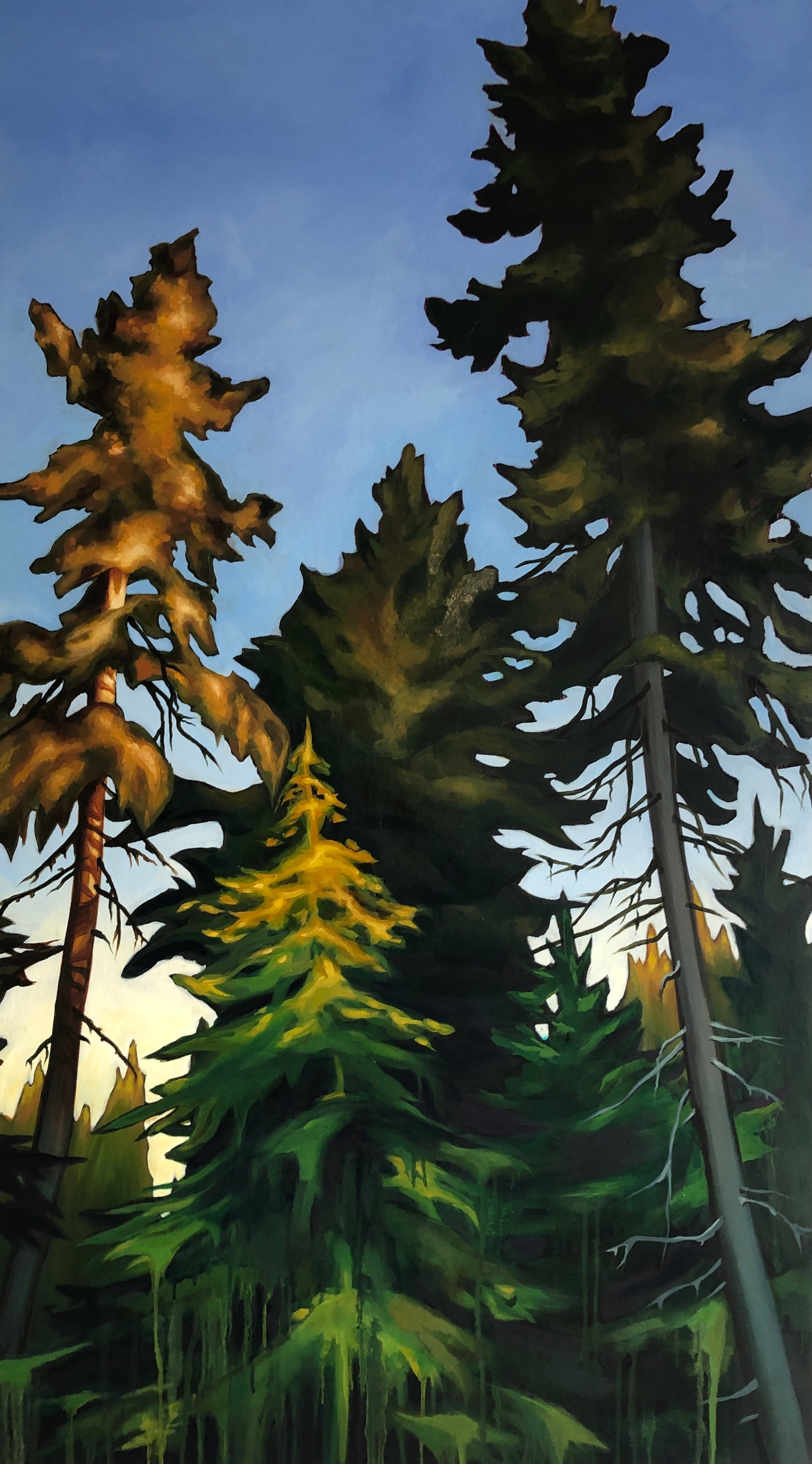 Golden Hour (Boreal Forest) | helloart