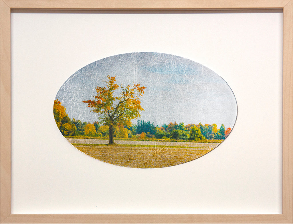 Steadfast Maple Tree | helloart