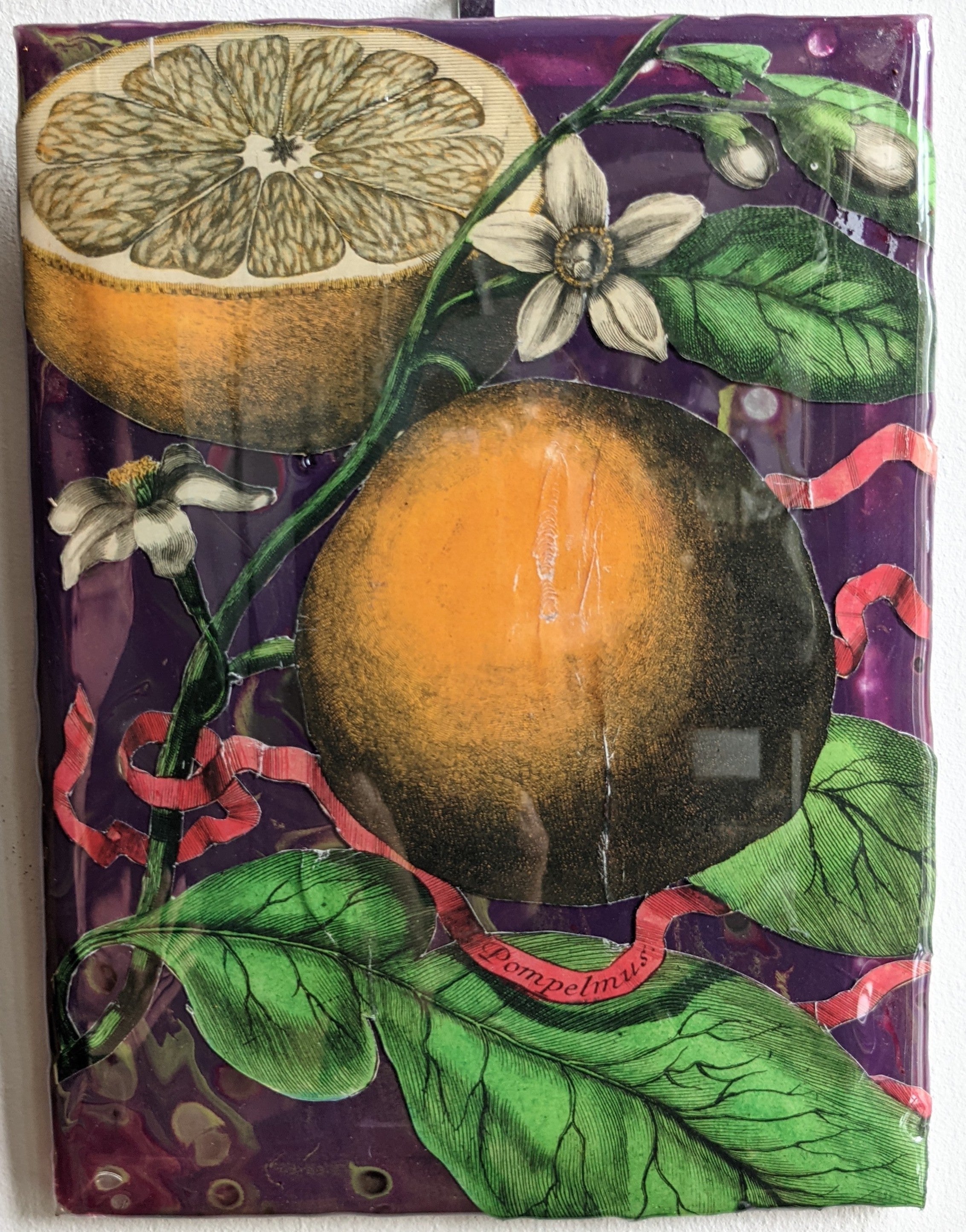 Vintage Orange | helloart