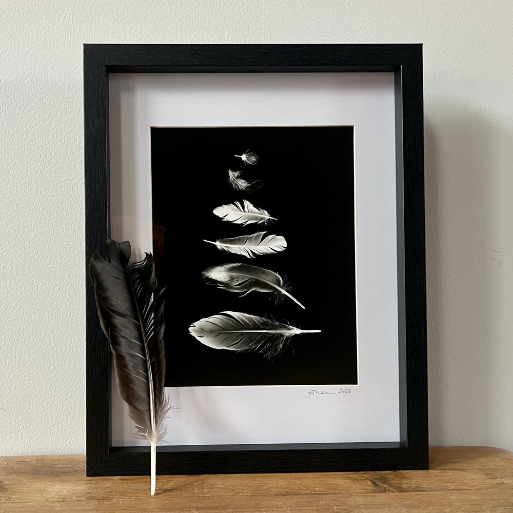 Feathers Scale | helloart