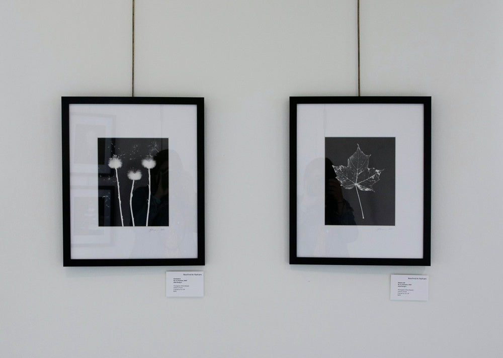 Maple Leaf | helloart