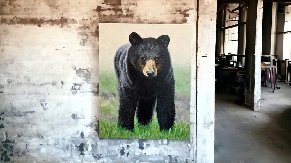 Bear Stare | helloart