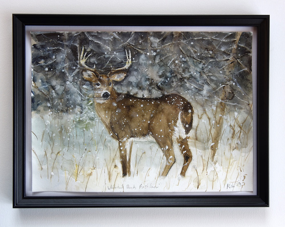 White-tailed Buck, First Snow | helloart