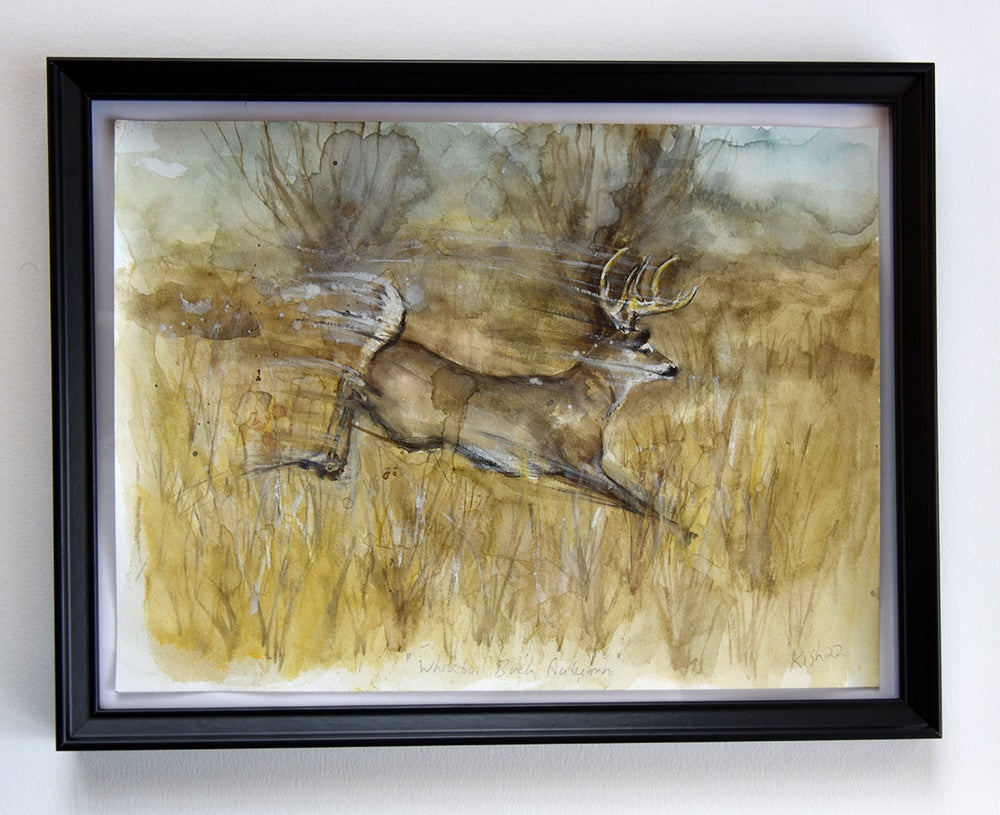 Whitetail Buck, Autumn | helloart