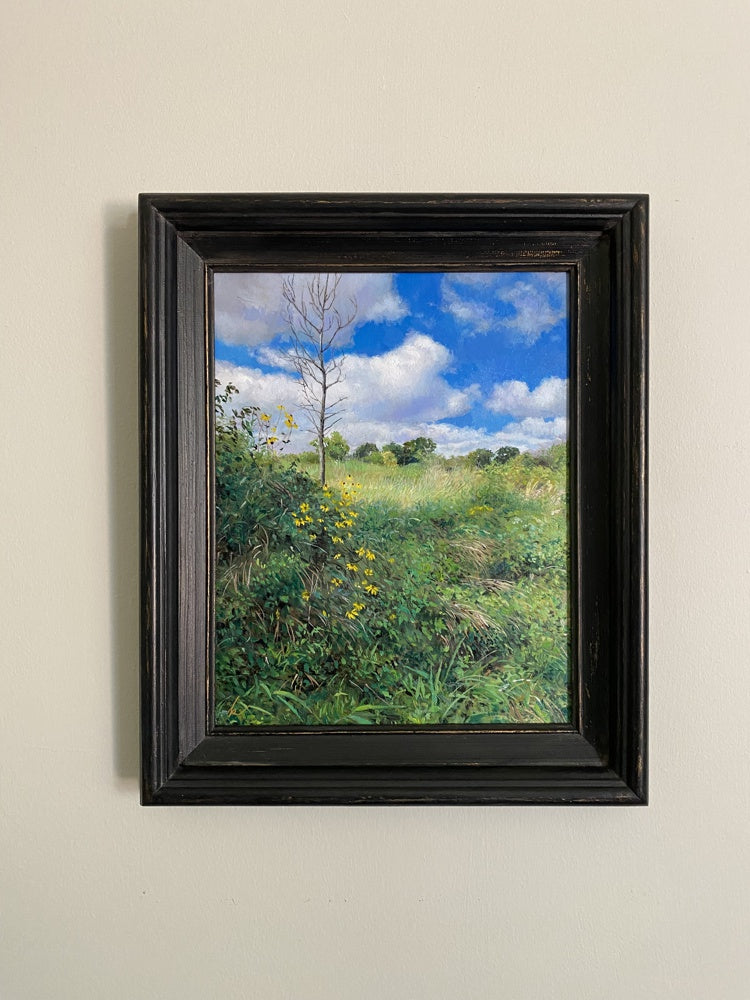 Late Summer, Fox River Vallery | helloart