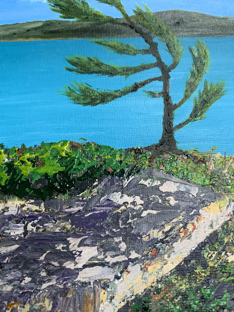 “Windswept” | helloart