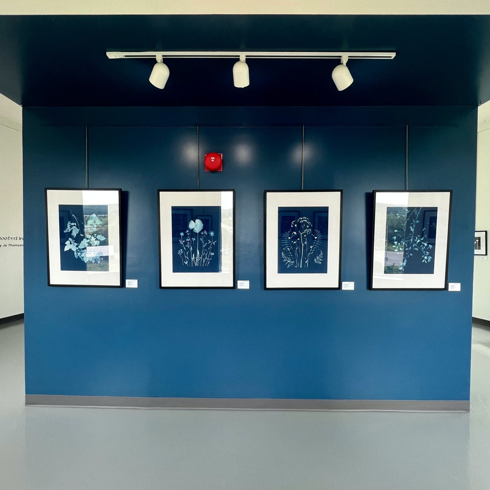 Forest Ferns | helloart