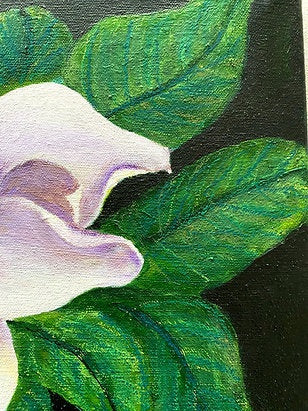 Magnolia Study I | helloart