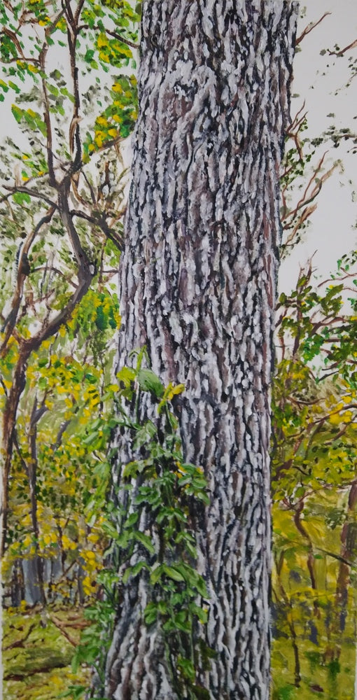 Oak Tree With Invasive Vine | helloart