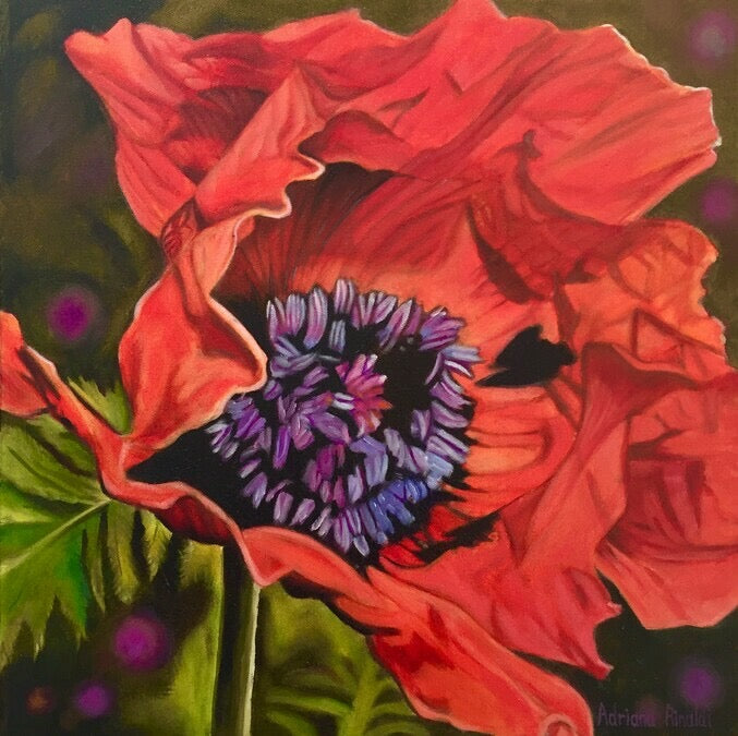 Sloppy Poppy | helloart