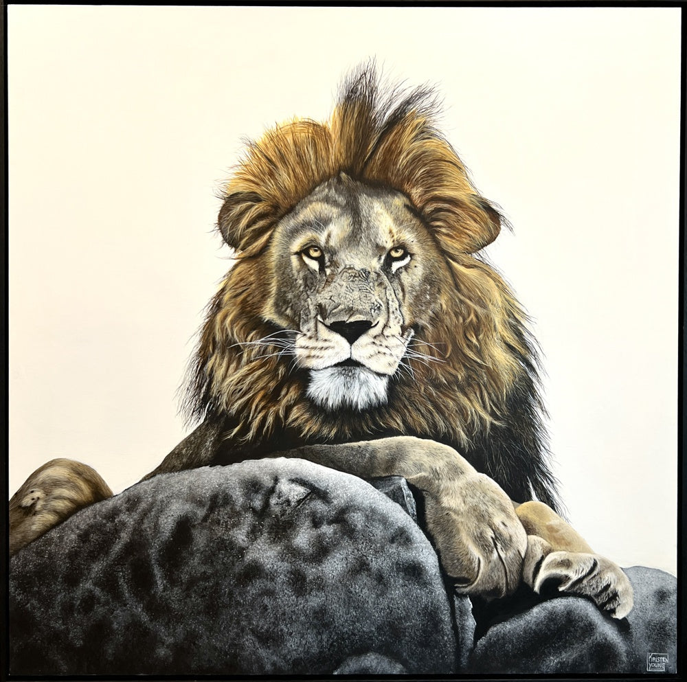 Kristen Young | helloart
