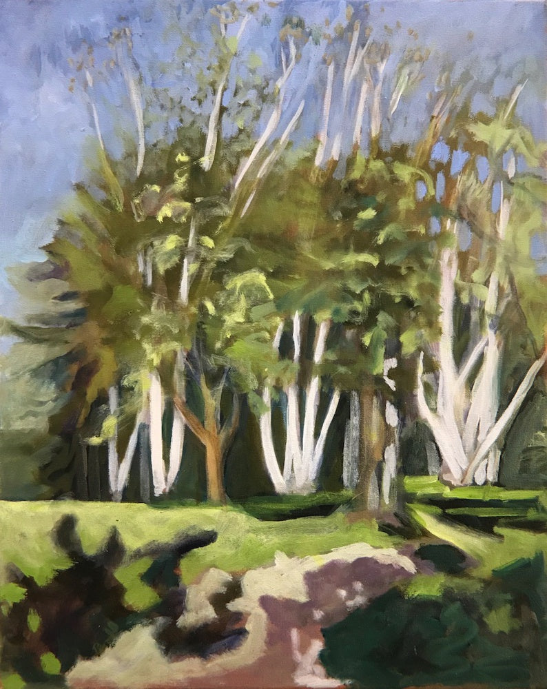 Birch Shadows | helloart