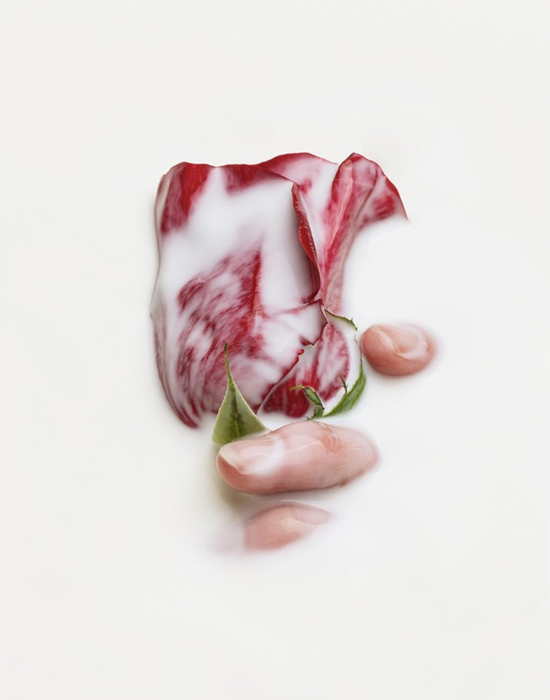 Milk Rose | helloart