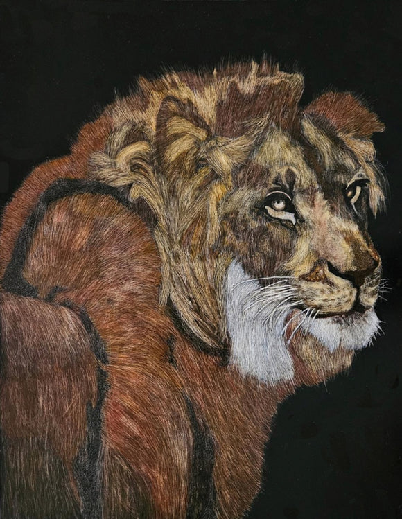LION GAZE | helloart