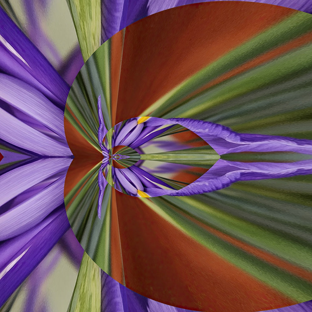 Iris on the Side | helloart