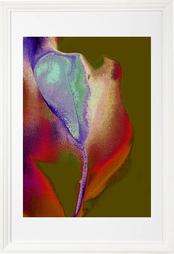 tulip B69 | helloart