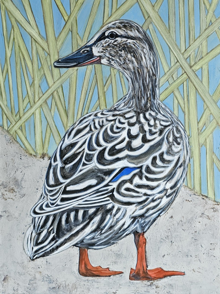 Dilly Dally Duck | helloart