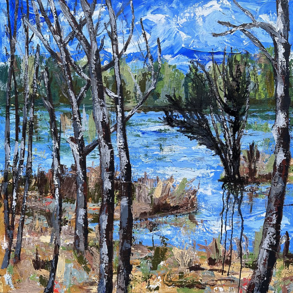 Looking Across Cootes Paradise | helloart