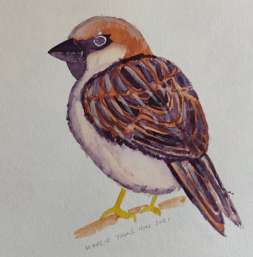 Sparrow | helloart