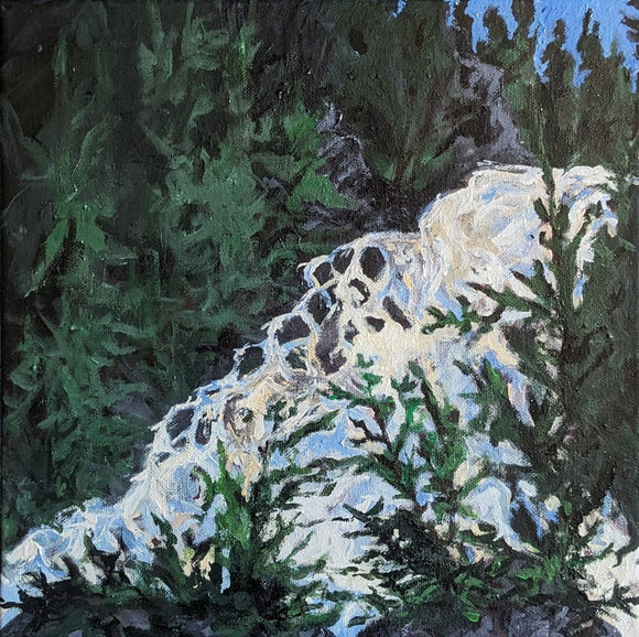 Oxtongue Rapids | helloart