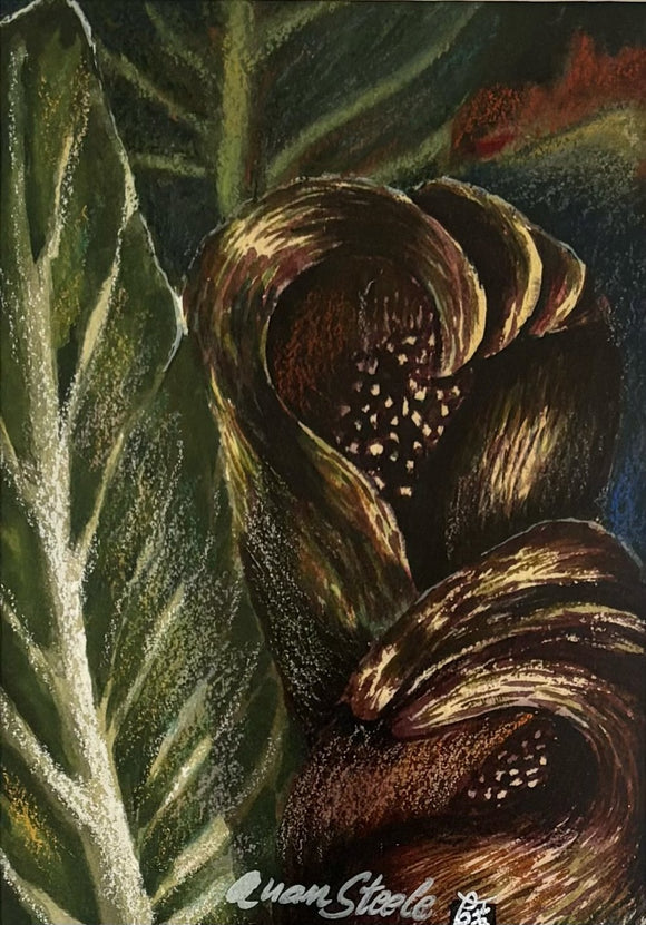 Skunk Cabbage | helloart