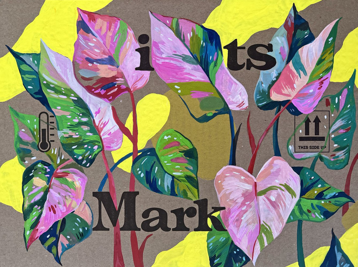 Pink Princess: Mark | helloart