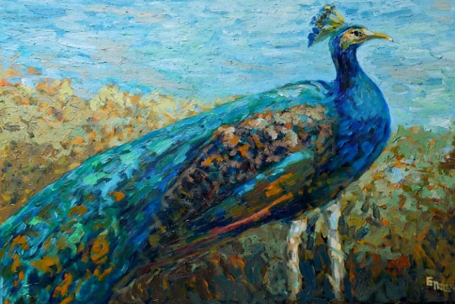 King Peacock | helloart
